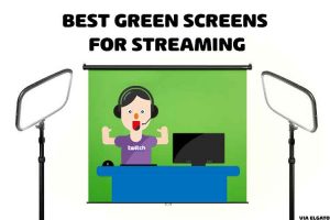 8 Best Green Screens for Streaming on Twitch - 2026 - Setupgamers