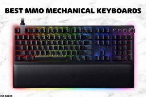 10 Best MMO Keyboards for Gaming - 2025 - Setupgamers