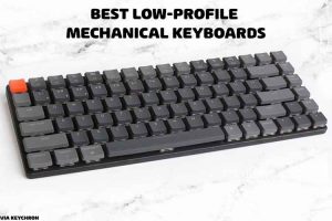 10 Best Low-Profile Mechanical Keyboards - 2026 - Setupgamers